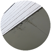 軒裏(軒天) 修理 | 屋根修理専門のルーフクラフト